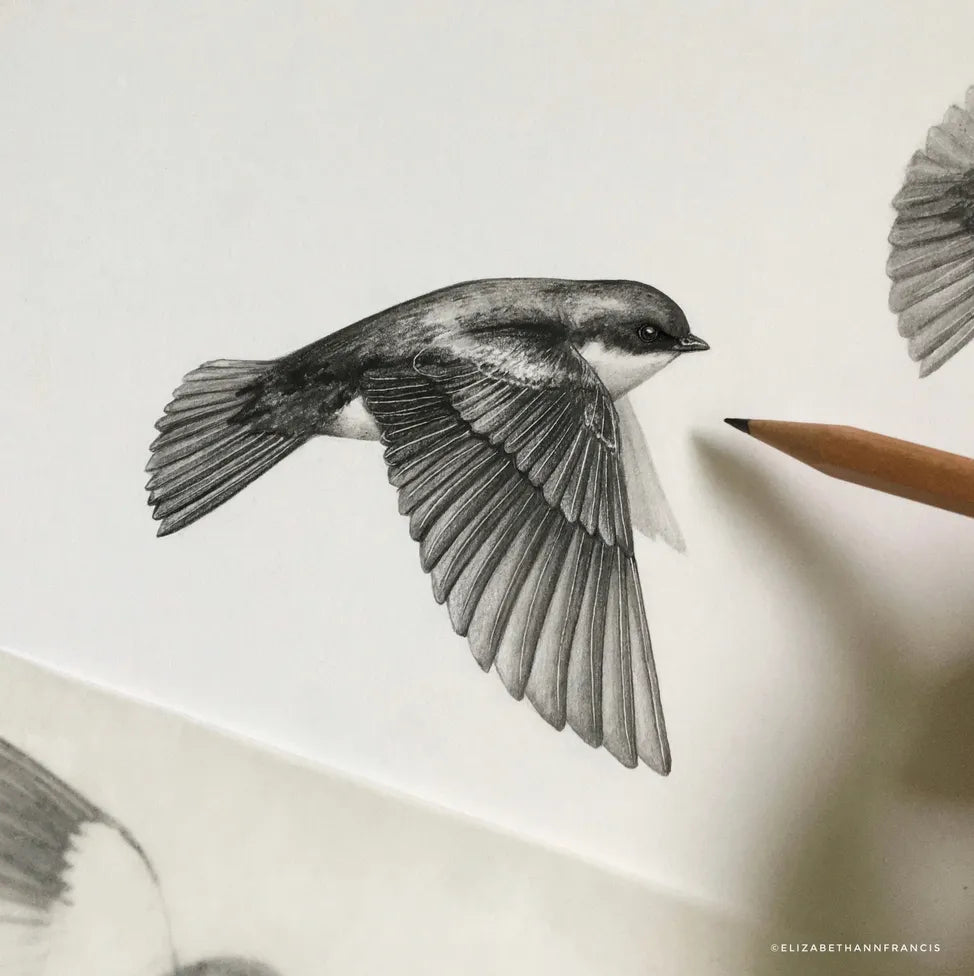 Graphite Pencil Grades Explained: From 9H to 9B | Art Noise